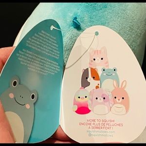 Kellytoy | Toys | Squishmallow Robert The Frog 5 | Poshmark